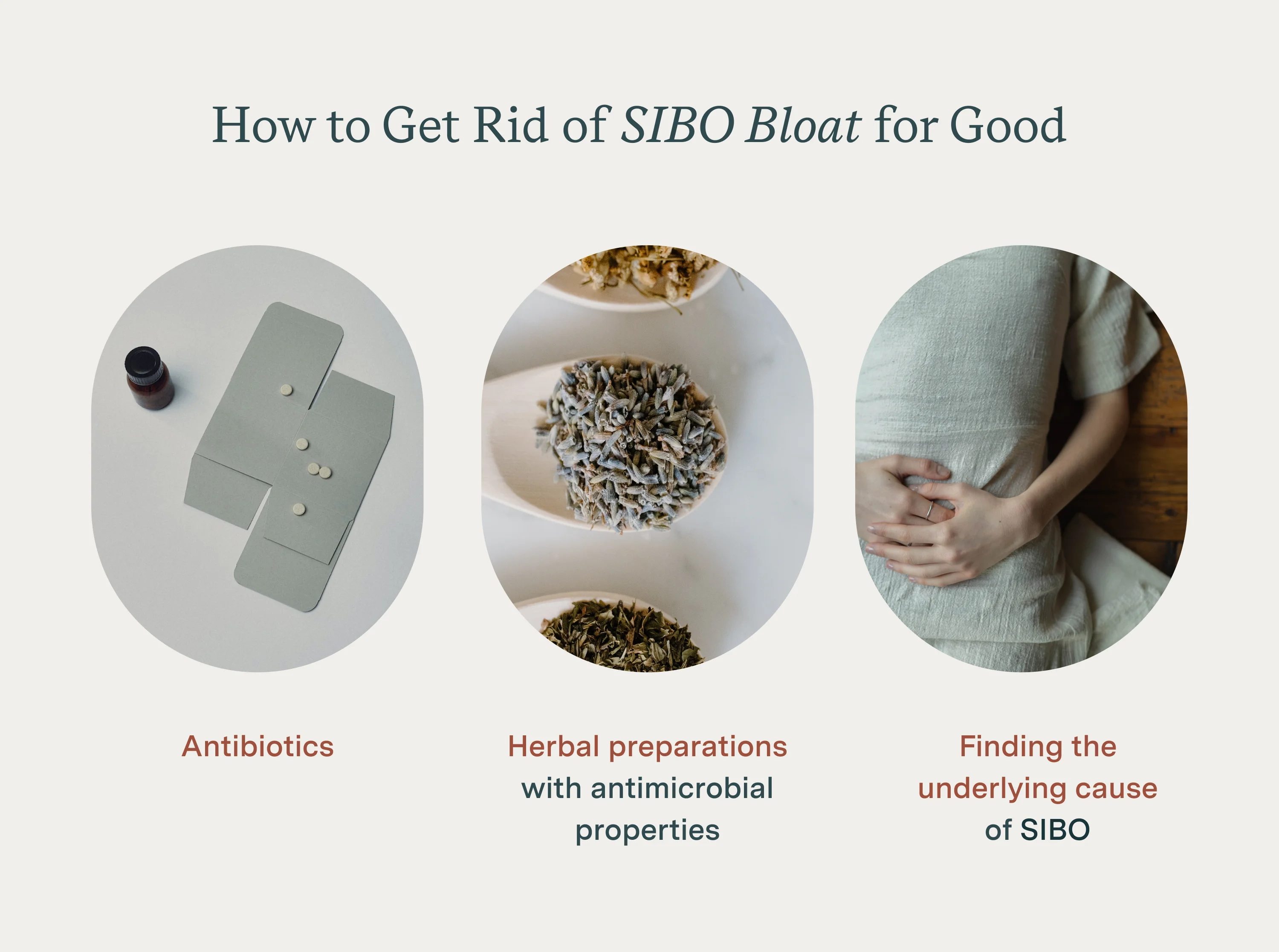 What Is SIBO Bloat? 4 Causes + How to Get Rid of It for Good